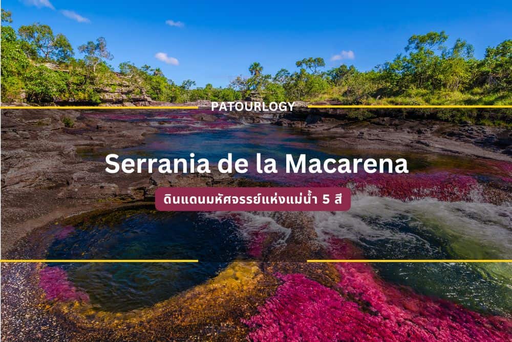 Serrania de la Macarena ดินแดนมหัศจรรย์แห่งแม่น้ำ 5 สี - Patourlogy ...