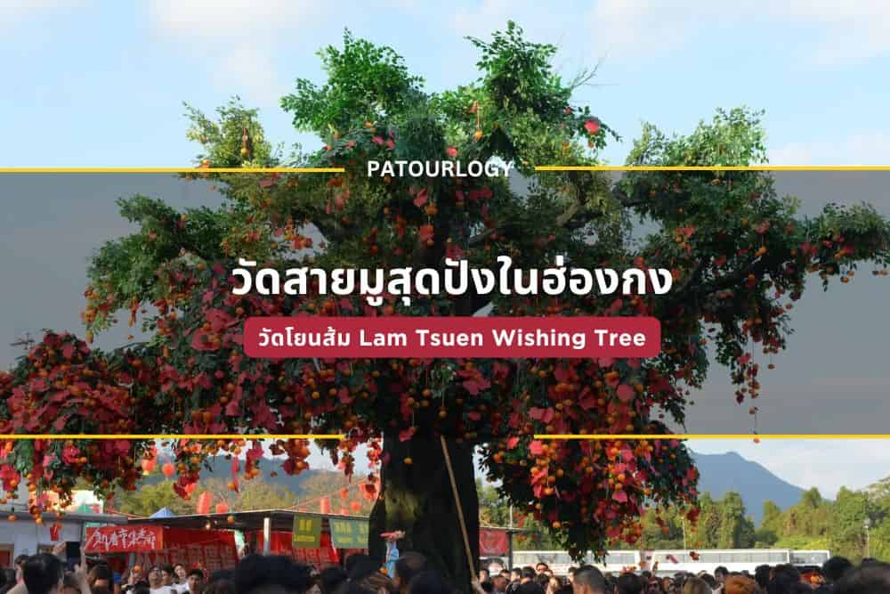 วัดโยนส้ม Lam Tsuen Wishing Tree วัดสายมูสุดปังในฮ่องกง - Patourlogy ...